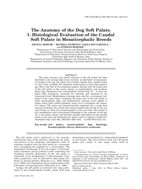 (PDF) The Anatomy of the Dog Soft Palate. I. Histological Evaluation of ...