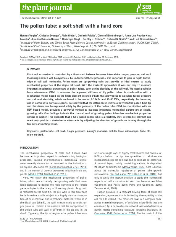 (PDF) The pollen tube: a soft shell with a hard core