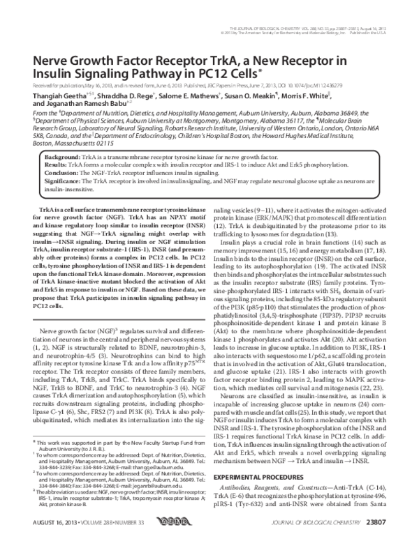 (PDF) Nerve Growth Factor Receptor TrkA, a New Receptor in Insulin ...