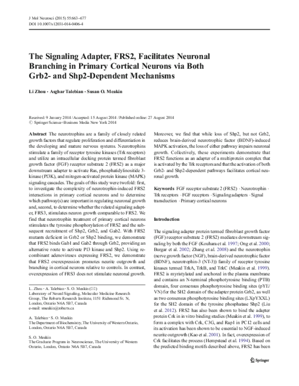 (PDF) The Signaling Adapter, FRS2, Facilitates Neuronal Branching in ...