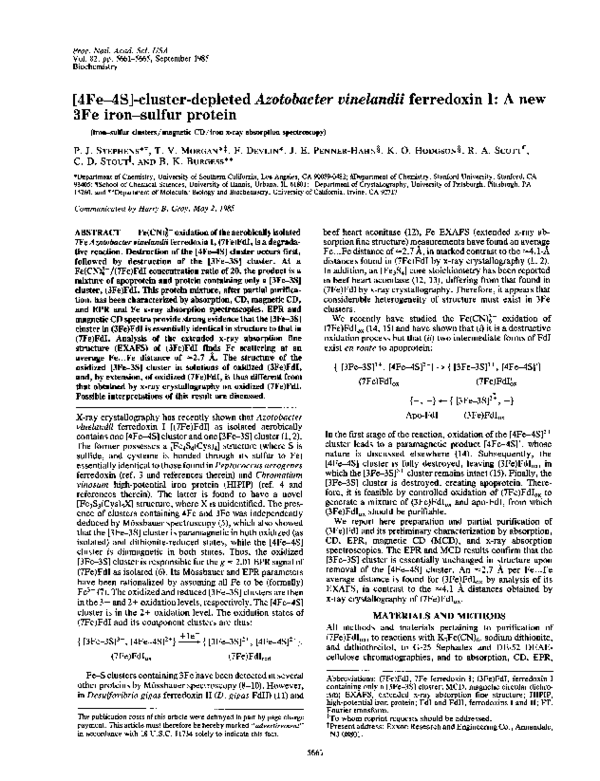 (PDF) [4Fe-4S]-cluster-depleted Azotobacter vinelandii ferredoxin I: a new 3Fe iron-sulfur ...