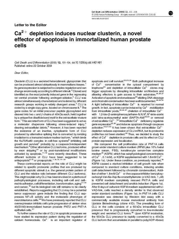 (PDF) Ca2+ depletion induces nuclear clusterin, a novel effector of ...