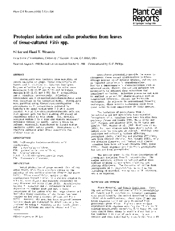 (PDF) Protoplast isolation and callus production from leaves of tissue ...