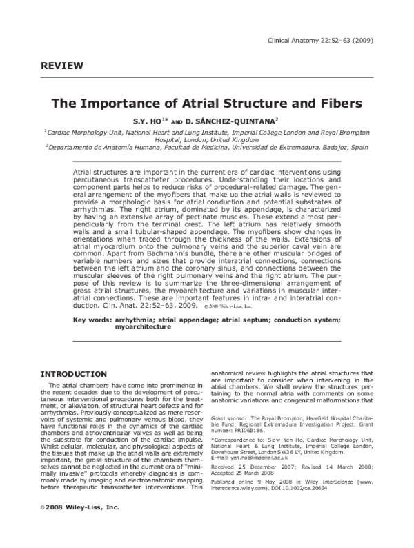(PDF) The importance of atrial structure and fibers