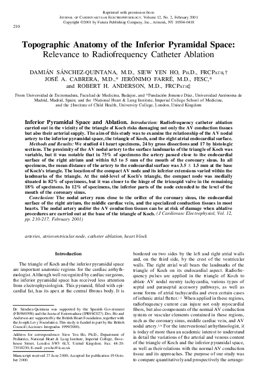 (PDF) Topographic Anatomy of the Inferior Pyramidal Space: Relevance to ...