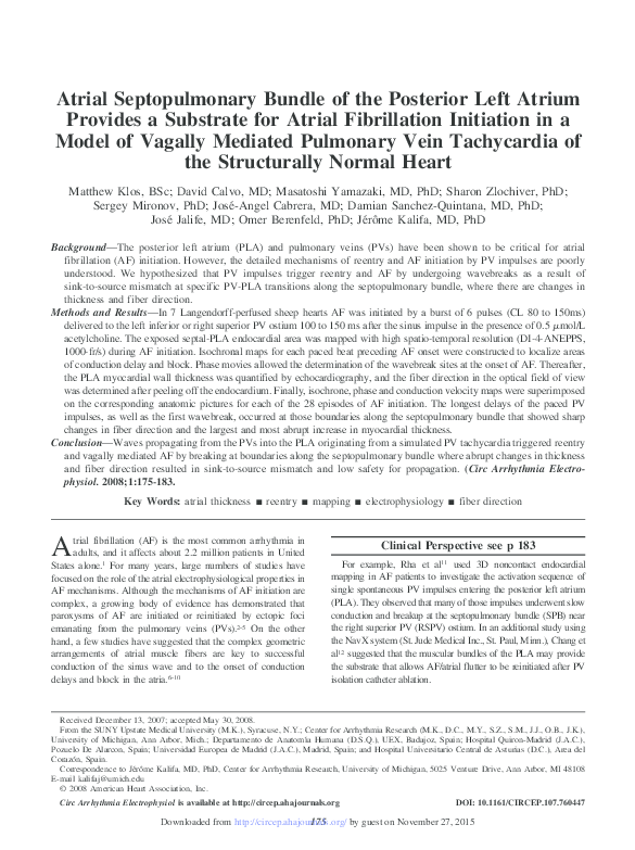 (PDF) Atrial septopulmonary bundle of the posterior left atrium ...