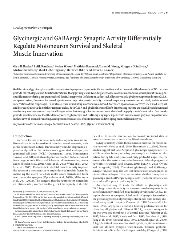 Glycinergic and GABAergic Synaptic Activity Differentially Regulate ...