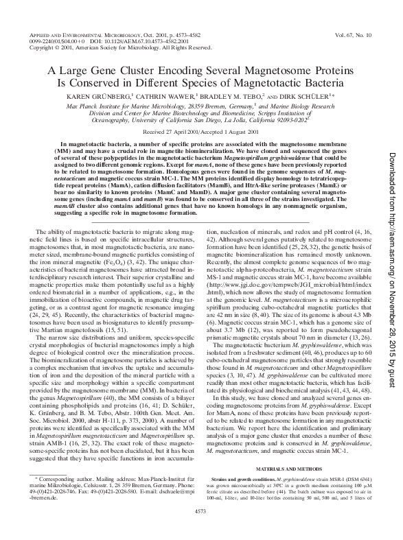 (PDF) Comprehensive genetic dissection of the magnetosome gene island ...