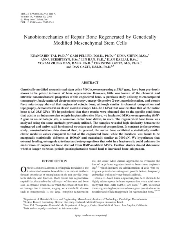 (PDF) Nanobiomechanics of Repair Bone Regenerated by Genetically ...