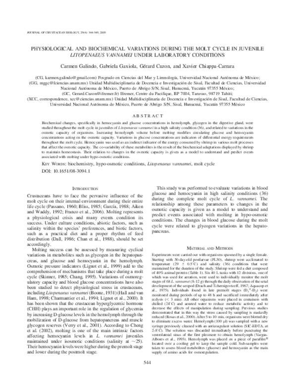 (PDF) Physiological and Biochemical Variations During the Molt Cycle in Juvenile Litopenaeus ...