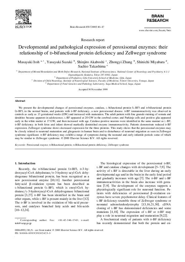 (PDF) Developmental and pathological expression of peroxisomal enzymes ...