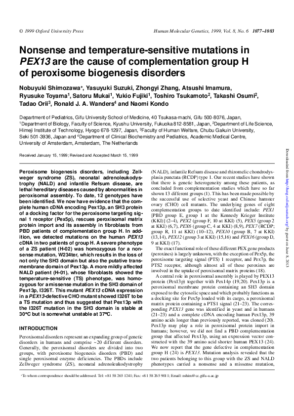 (PDF) Human PEX1 cloned by functional complementation on a CHO cell mutant is responsible for ...