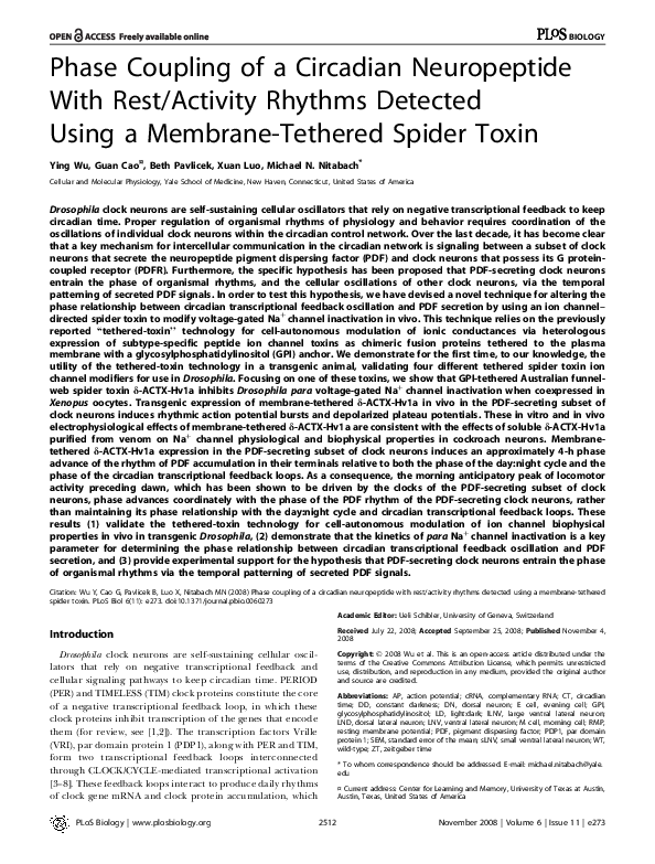 (PDF) Phase Coupling of a Circadian Neuropeptide With Rest/Activity ...