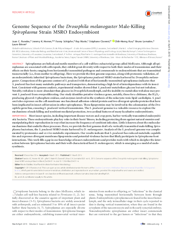 (PDF) Genome Sequence of the Drosophila melanogaster Male-Killing Spiroplasma Strain MSRO ...
