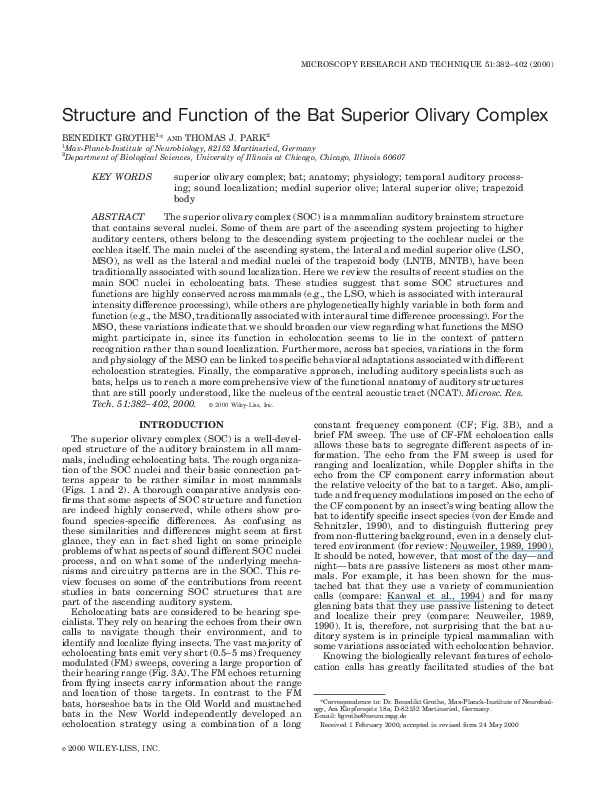 (PDF) Structure and function of the bat superior olivary complex