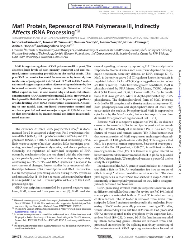 (PDF) Maf1 Protein, Repressor of RNA Polymerase III, Indirectly Affects ...