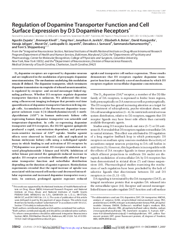 (PDF) Regulation of Dopamine Transporter Function and Cell Surface ...