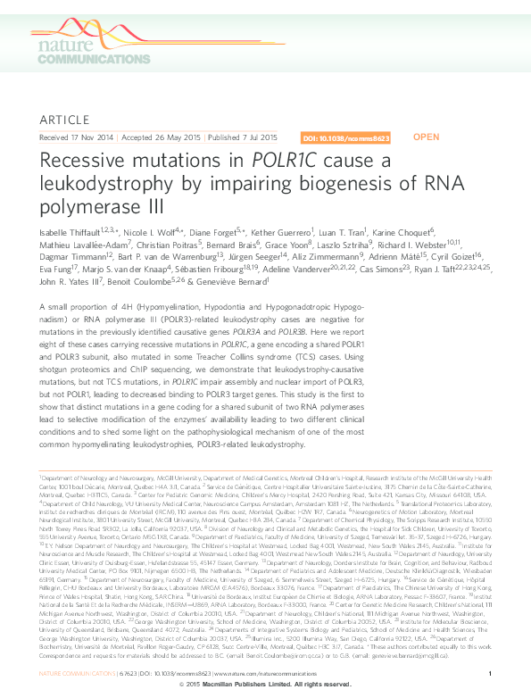 (PDF) Recessive mutations in POLR1C cause a leukodystrophy by impairing biogenesis of RNA ...