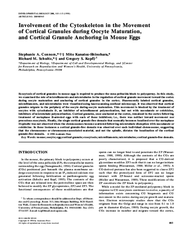 (PDF) Structure and Function of the Egg Cortex from Oogenesis through ...