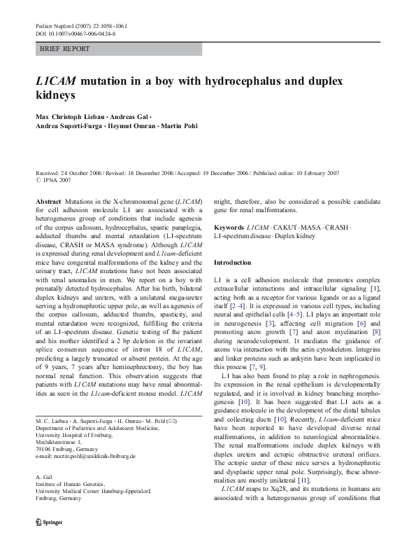 (PDF) L1CAM mutation in a boy with hydrocephalus and duplex kidneys