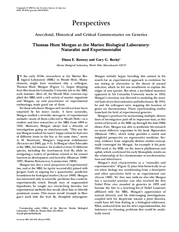 (PDF) Thomas Hunt Morgan at the Marine Biological Laboratory ...