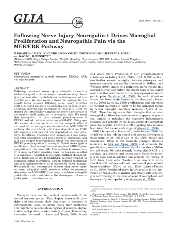 (PDF) Following nerve injury neuregulin-1 drives microglial ...