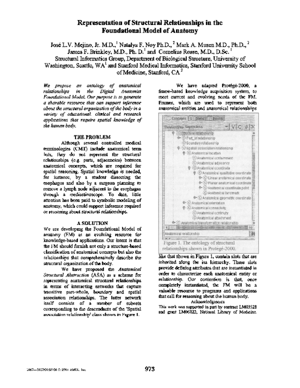 (PDF) Representation of structural relationships in the foundational ...