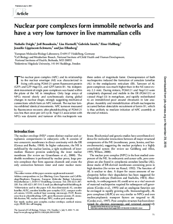 Telophase Hartnell