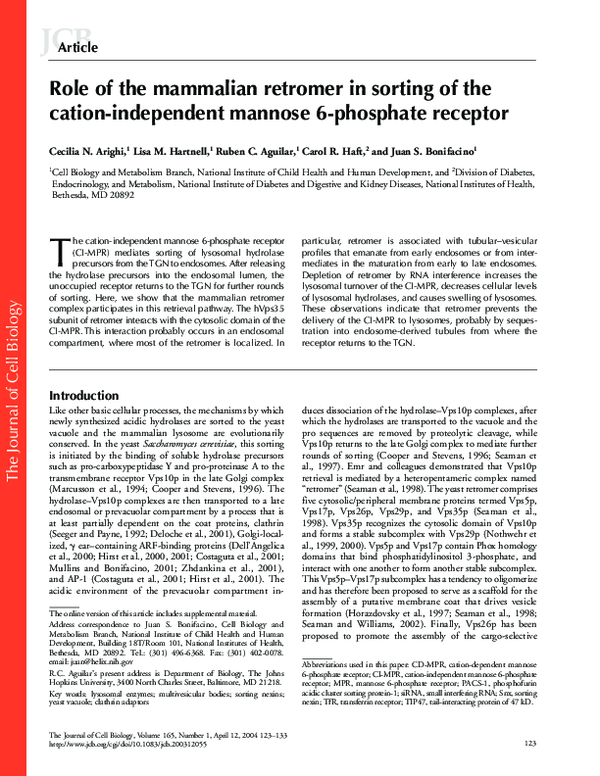 (PDF) Role of the mammalian retromer in sorting of the cation ...
