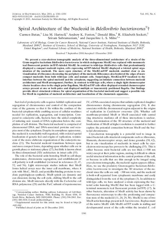 (PDF) Spiral Architecture of the Nucleoid in Bdellovibrio bacteriovorus ...