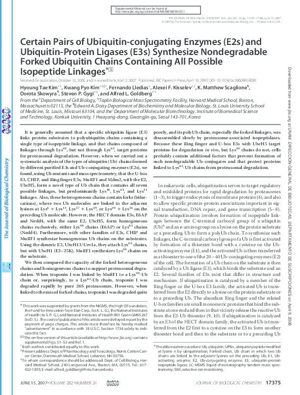 Pdf Certain E2 E3 Pairs Synthesize Nondegradable Forked Ubiquitin Chains Containing All 8973