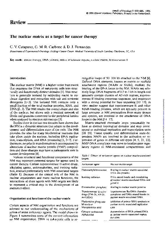 (PDF) The nuclear matrix as a target for cancer therapy | Giuseppina ...