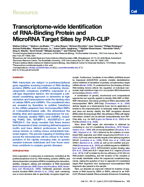 (PDF) Transcriptome-wide Identification of RNA-Binding Protein and ...