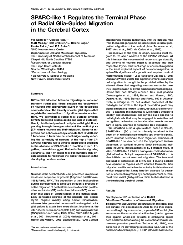 (PDF) SPARC-like 1 Regulates the Terminal Phase of Radial Glia-Guided ...