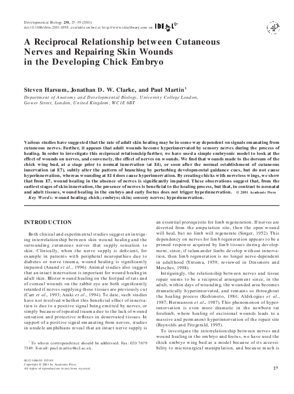 (PDF) Nerve-Wound Interplay in Chick Embryo Skin Healing