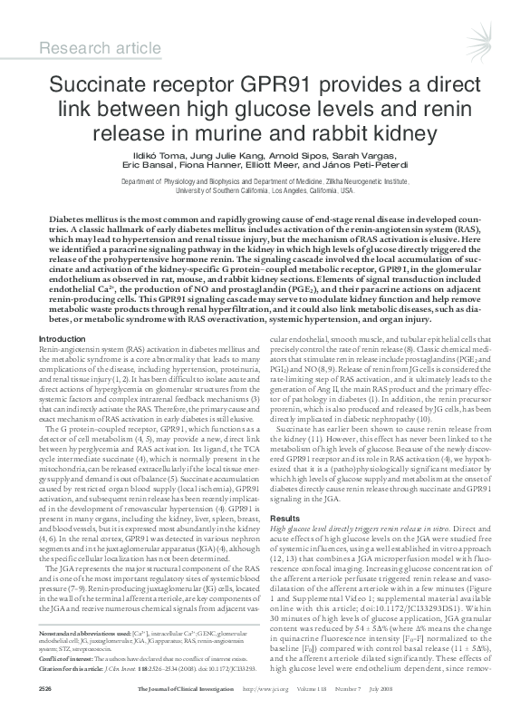 (PDF) Succinate receptor GPR91 provides a direct link between high ...