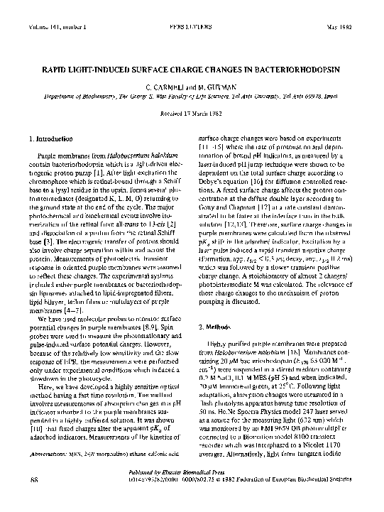 (PDF) Rapid light-induced surface charge changes in bacteriorhodopsin