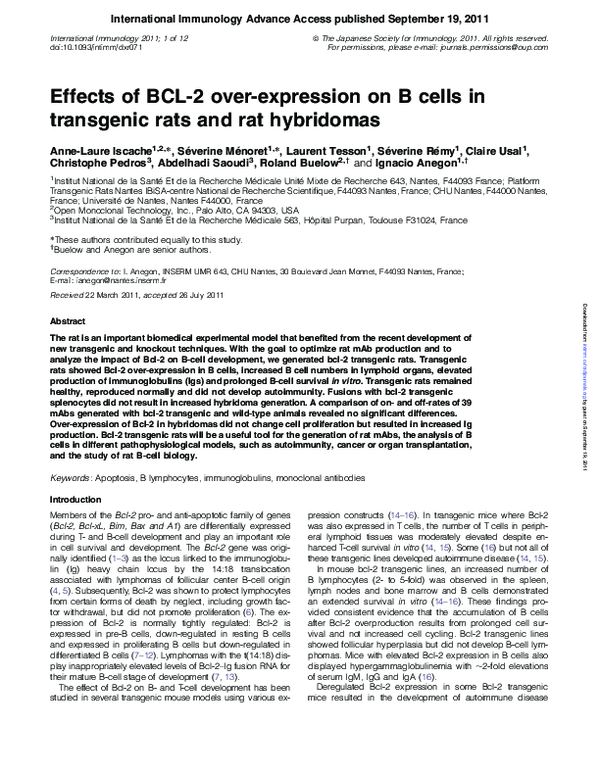 (PDF) Effects of BCL-2 over-expression on B cells in transgenic rats ...
