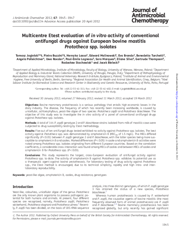 (PDF) Multicentre Etest evaluation of in vitro activity of conventional ...