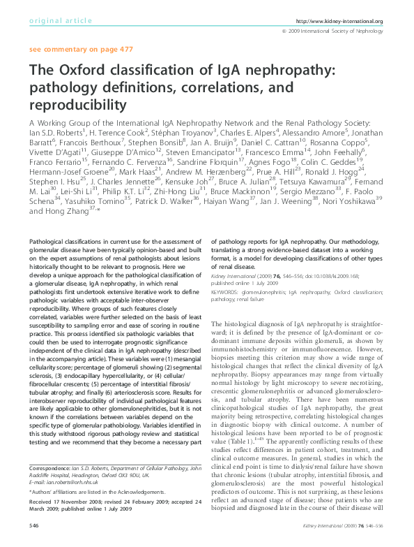 (PDF) The Oxford classification of IgA nephropathy: pathology definitions, correlations, and ...