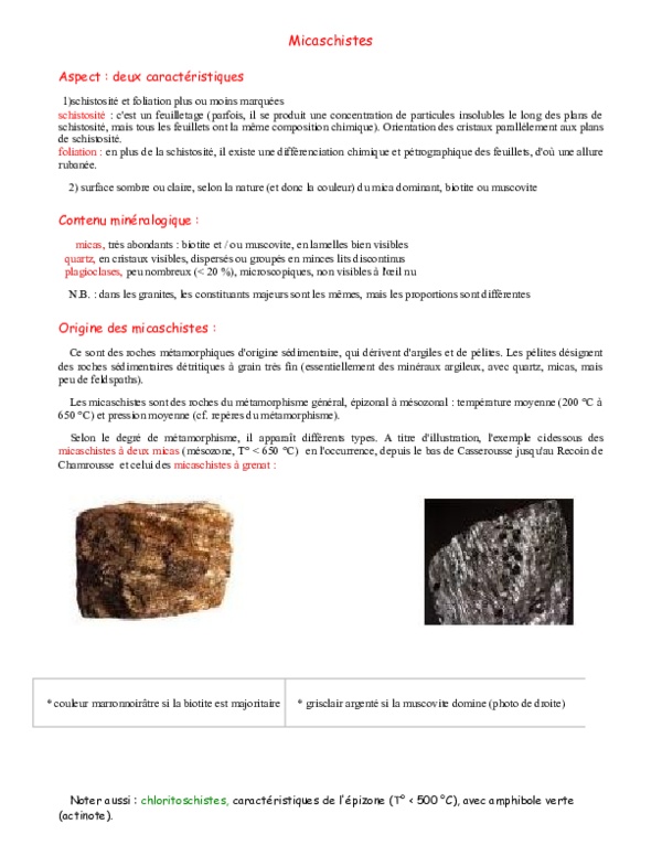 (DOC) Micaschistes