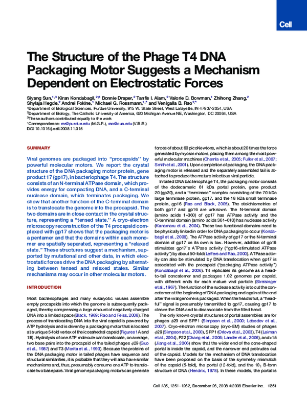 (PDF) The Structure of the Phage T4 DNA Packaging Motor Suggests a ...
