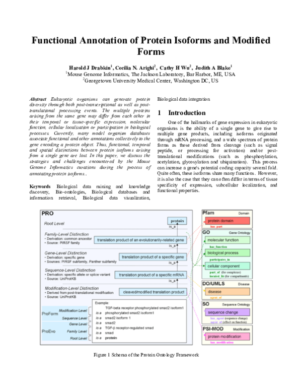 Pdf Functional Annotation Of Protein Isoforms And Modified Forms