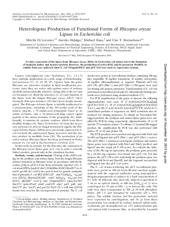 (PDF) Heterologous Production of Functional Forms of Rhizopus oryzae Lipase in Escherichia coli ...