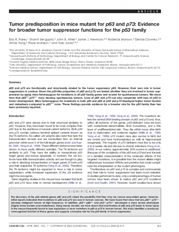 Pdf Tumor Predisposition In Mice Mutant For P63 And P73 Evidence For