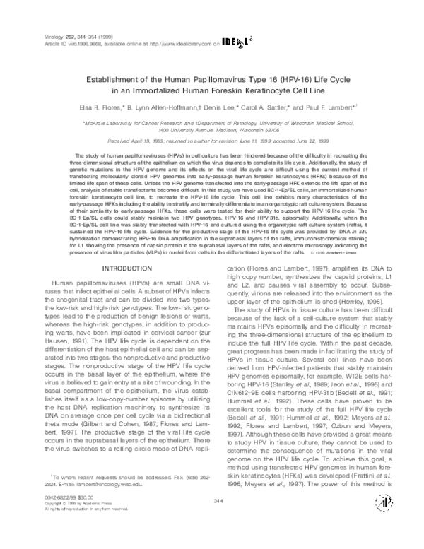 Pdf In Vitro Hpv 11 Infection Of Human Foreskin R Isseroff 8648