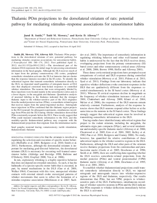 (PDF) Thalamic POm projections to the dorsolateral striatum of rats ...