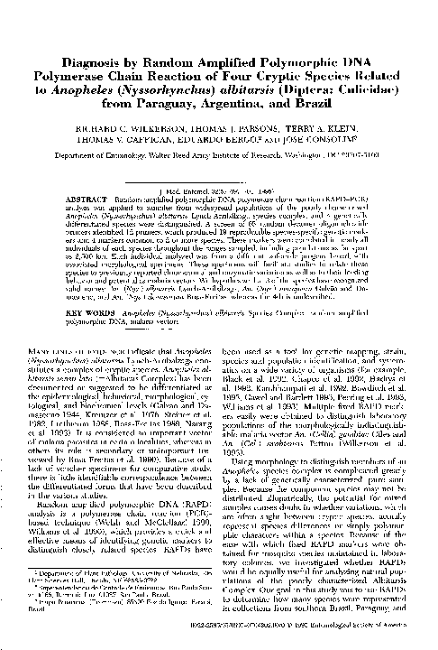 (PDF) Diagnosis by Random Amplified Polymorphic DNA Polymerase Chain Reaction of Four Cryptic ...