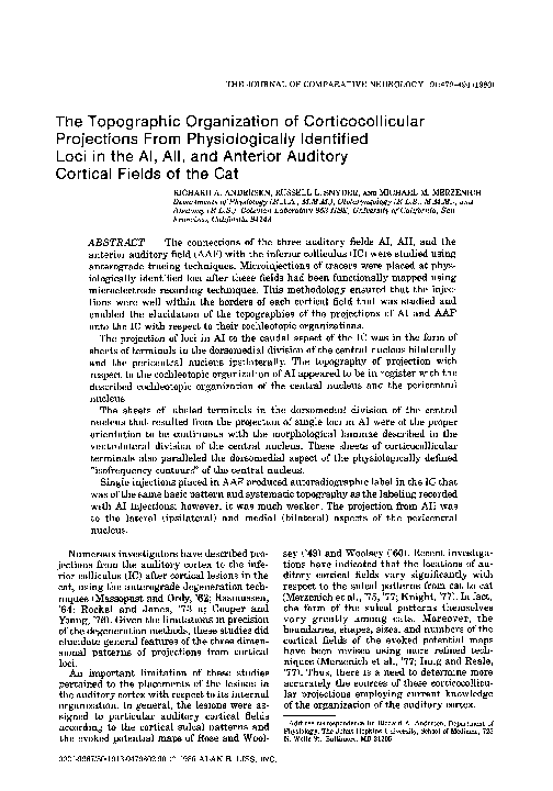 (PDF) Evaluation of medial division of the medial geniculate (MGM) and ...
