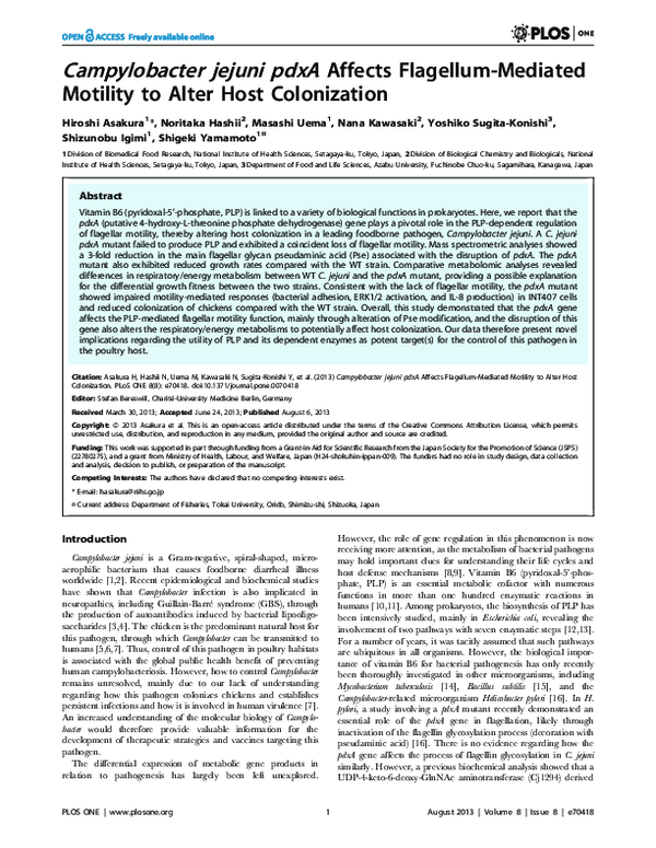 (PDF) Campylobacter jejuni pdxA Affects Flagellum-Mediated Motility to ...